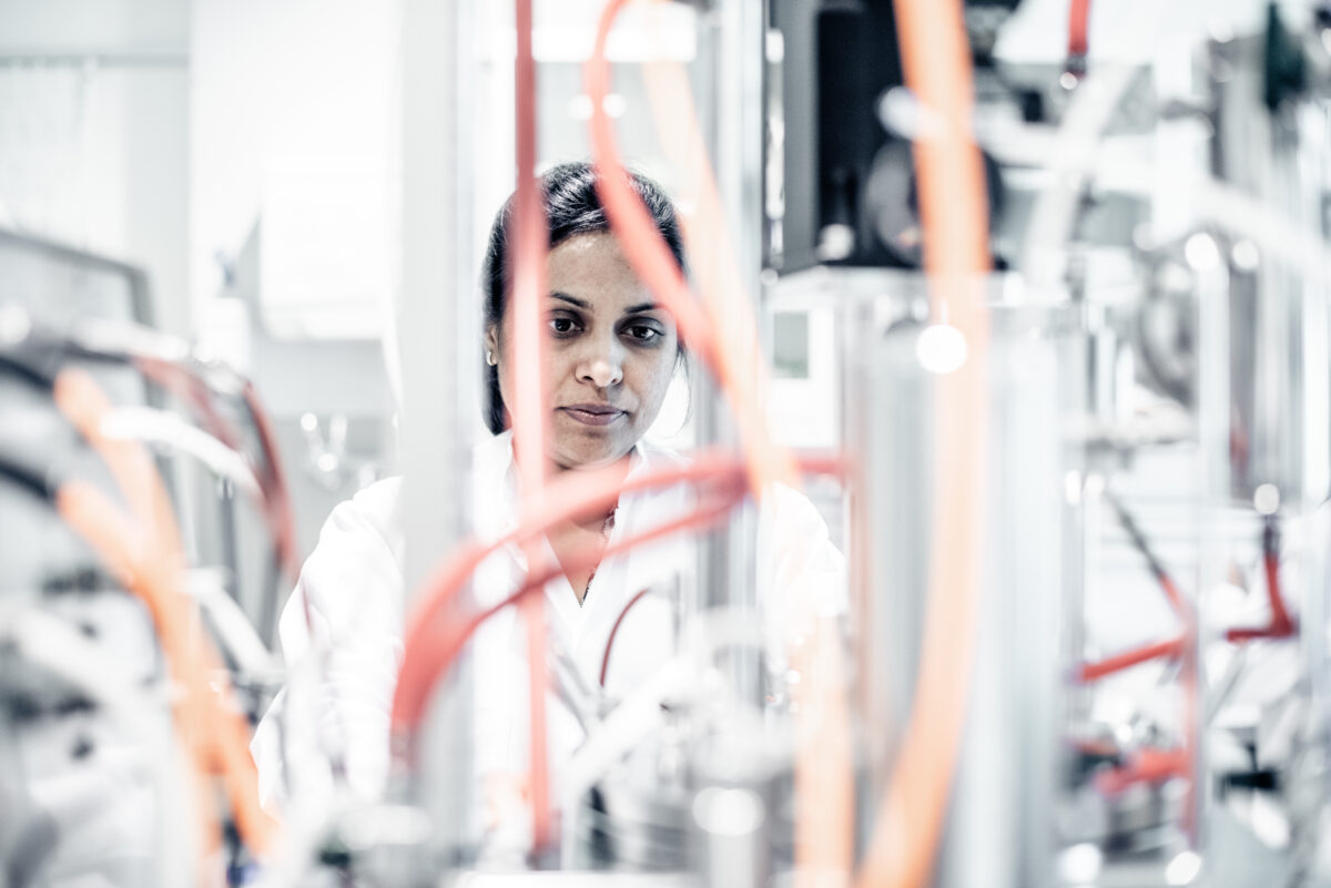 Our Services - Bioneer